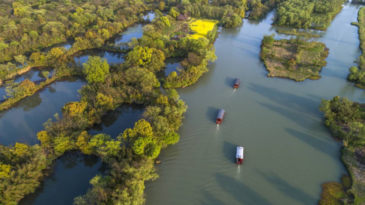 马云公益基金会-Jack Ma Foundation